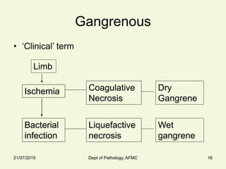 Necrosis and gangrene | PPT