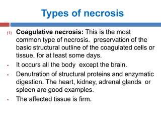 The Pathology necrosis and gangrene.pptx