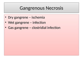 Necrosis and pathogenesis of Apoptosis_MBBS.pptx