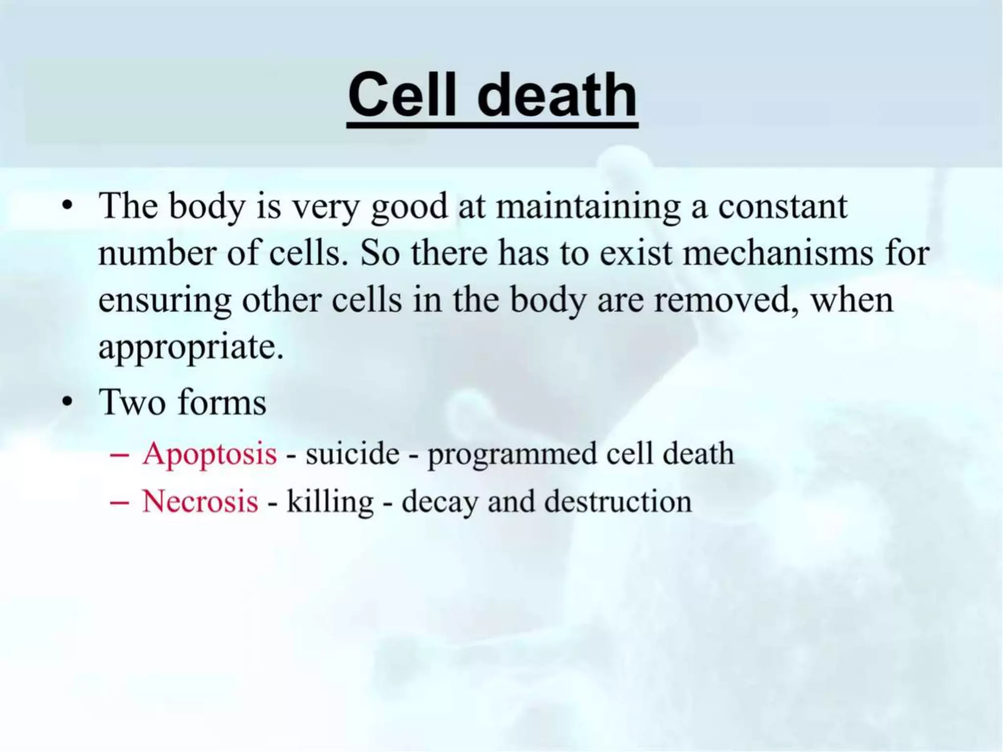 Necrosis & Apoptosis ppt | PPT
