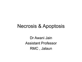 Necrosis & Apoptosis ppt | PPT