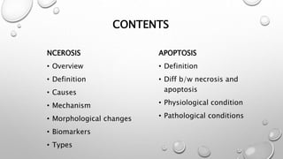 NECROSIS by Shabistan.pptx