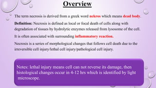 NECROSIS by Shabistan.pptx