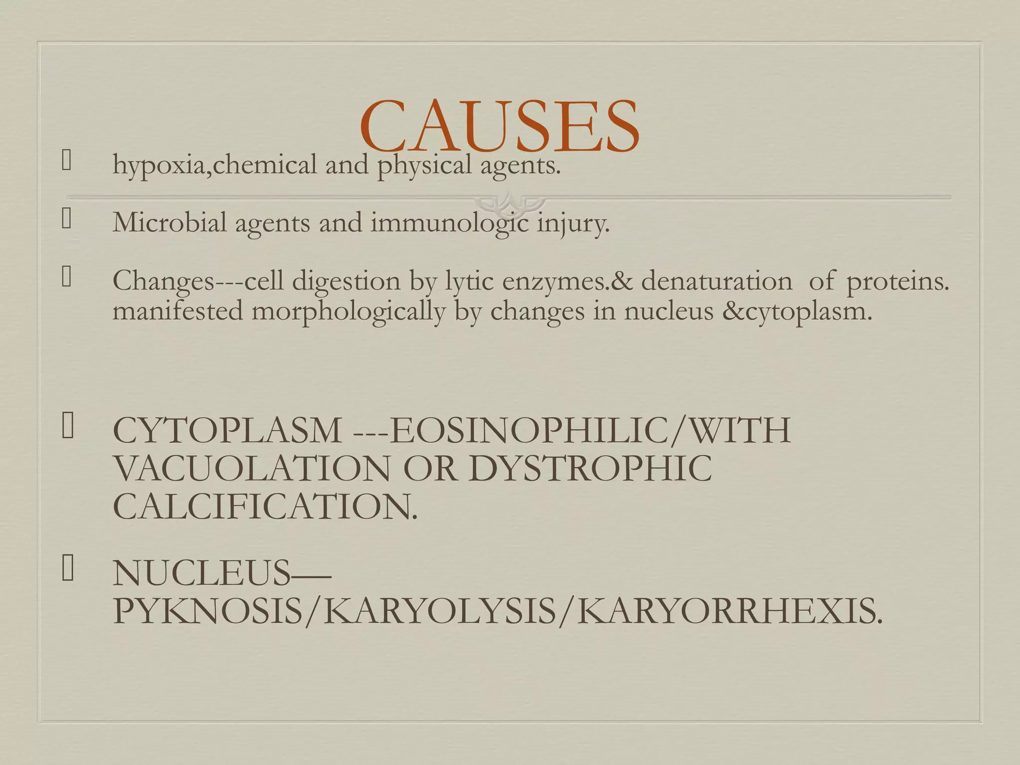 Necrosis & gangrene pathology calcification | PPT