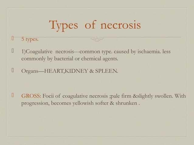Necrosis & gangrene pathology calcification | PPT