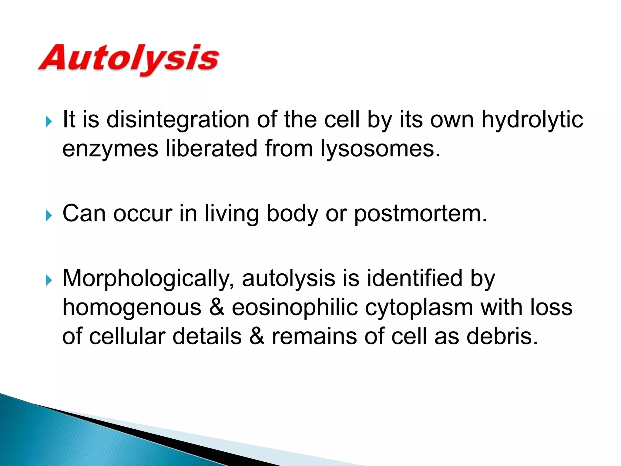 Necrosis,gangrene and apoptosis | PPTX