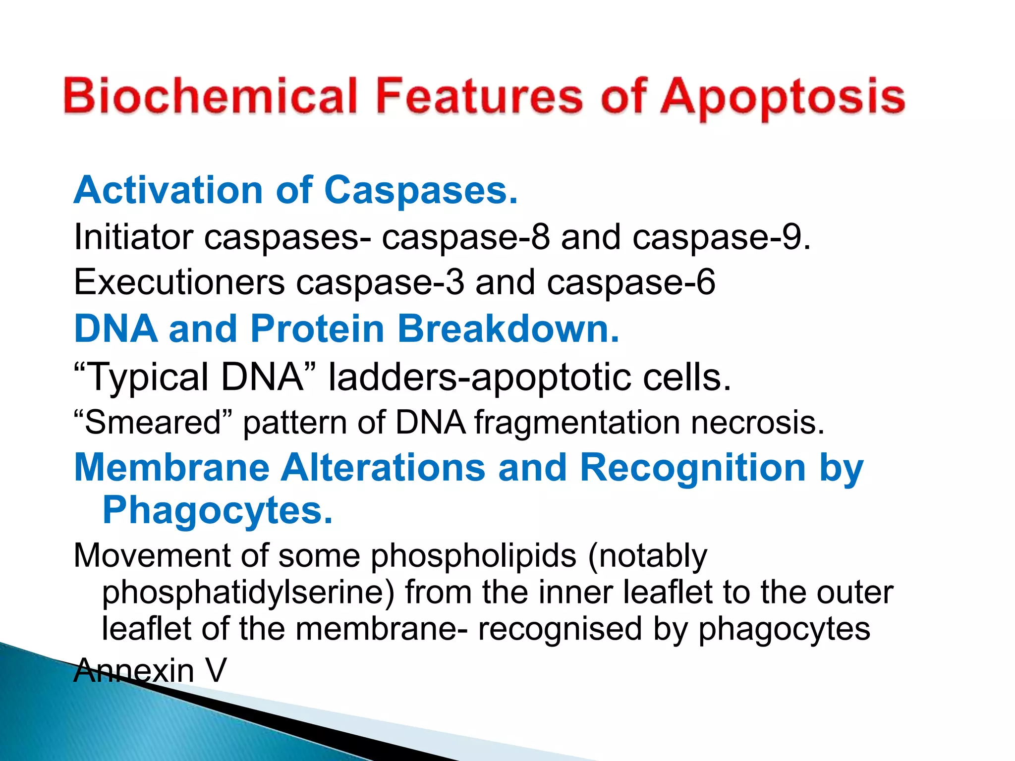 Necrosis,gangrene and apoptosis | PPTX