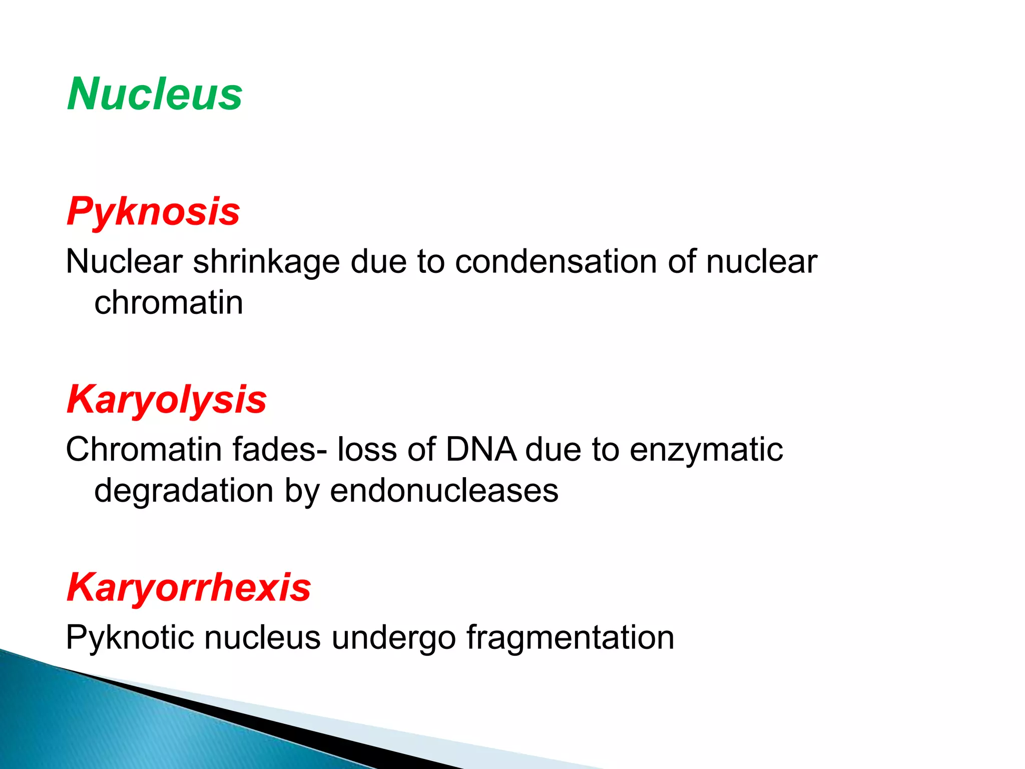 Necrosis,gangrene and apoptosis | PPTX