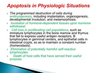 Necrosis,gangrene and apoptosis | PPTX