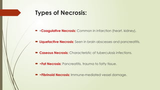 Necrosis^J Gangrene.pptx gas gangrene surgery | PPTX