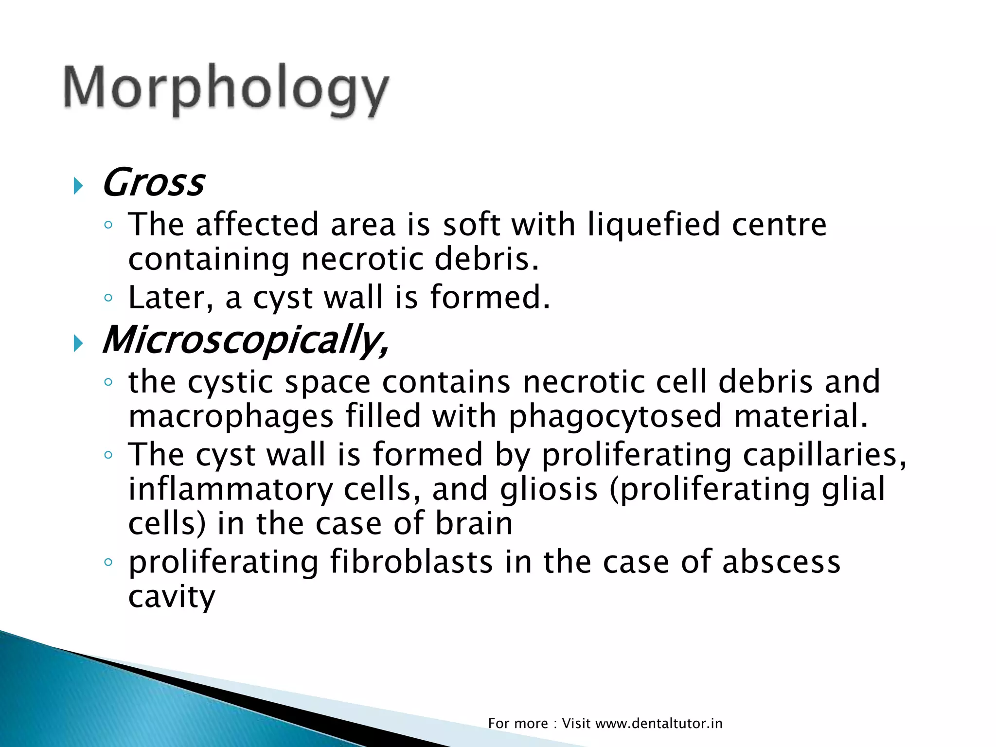 Necrosis | PPTX