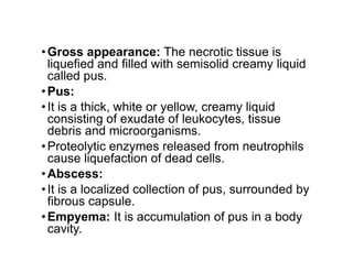 necrosis and it's types and adaptation. | PPT