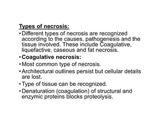 necrosis and it's types and adaptation. | PPT