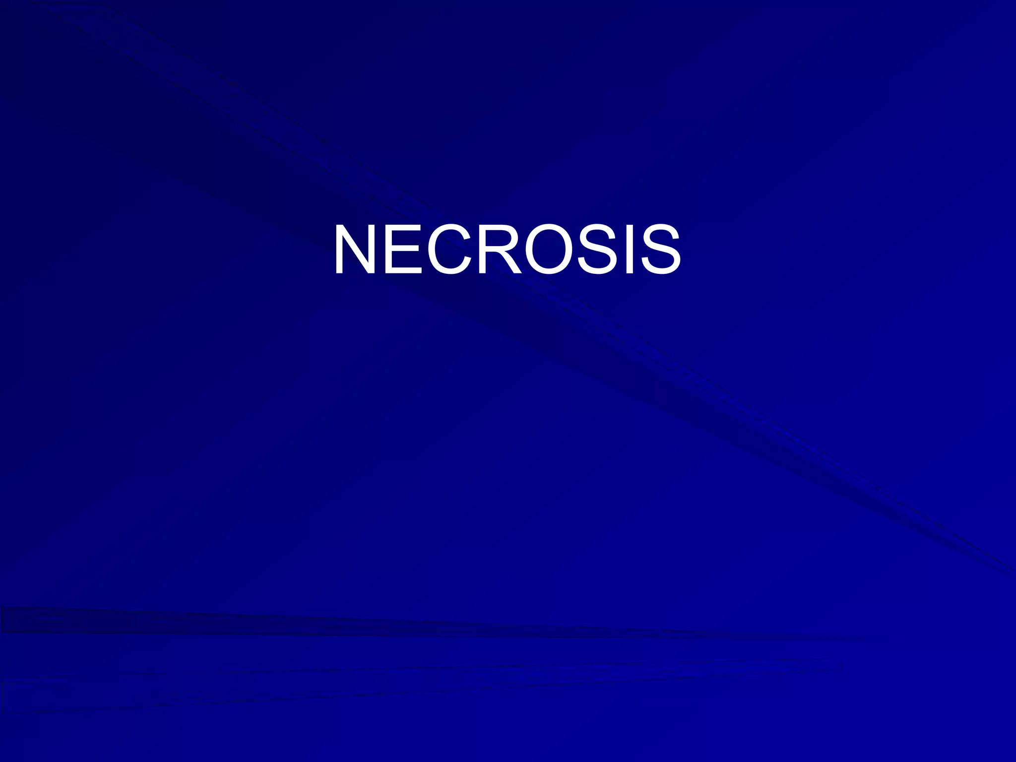 NECROSIS PEDAGOGY.pptx