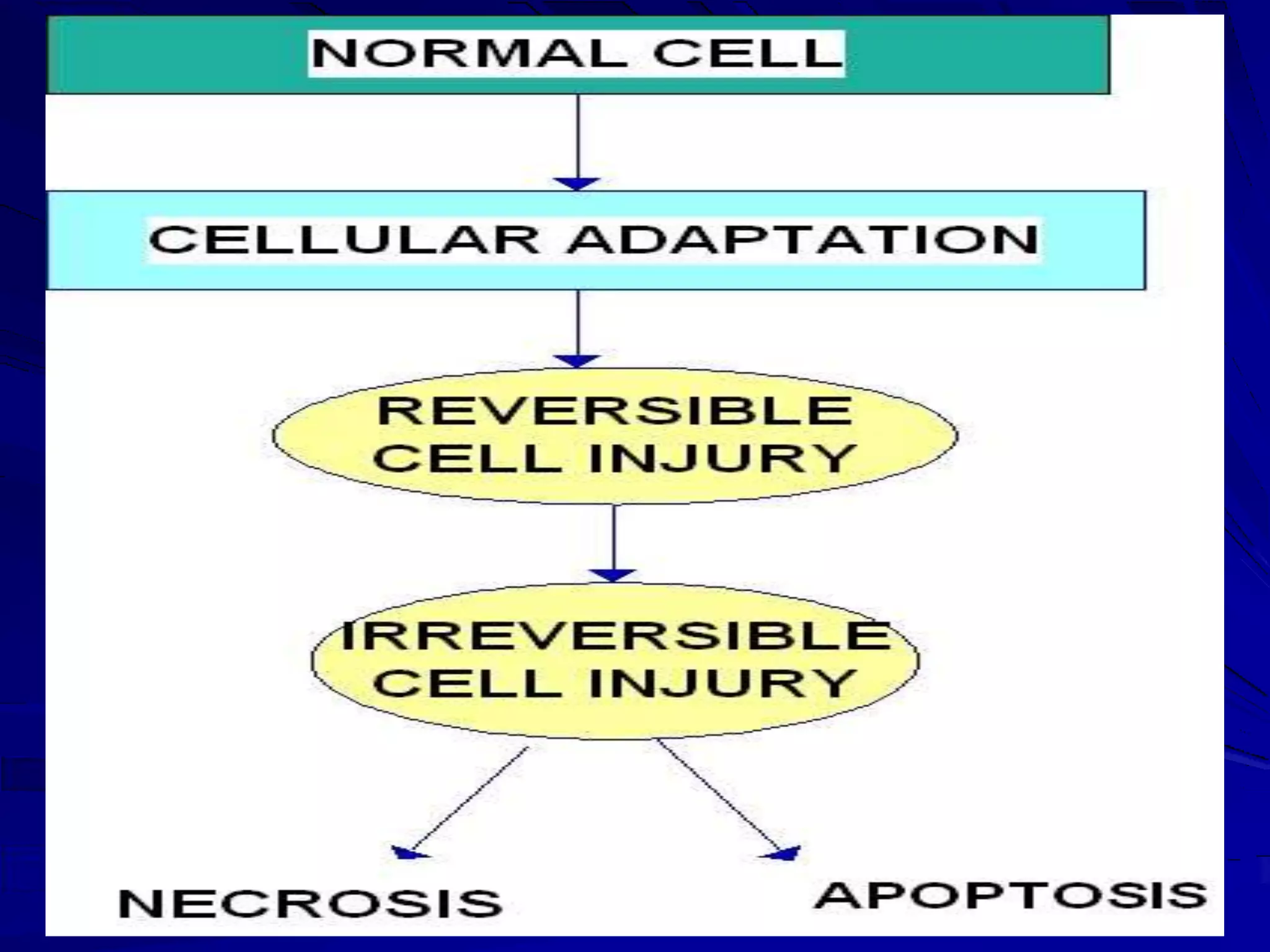 NECROSIS PEDAGOGY.pptx