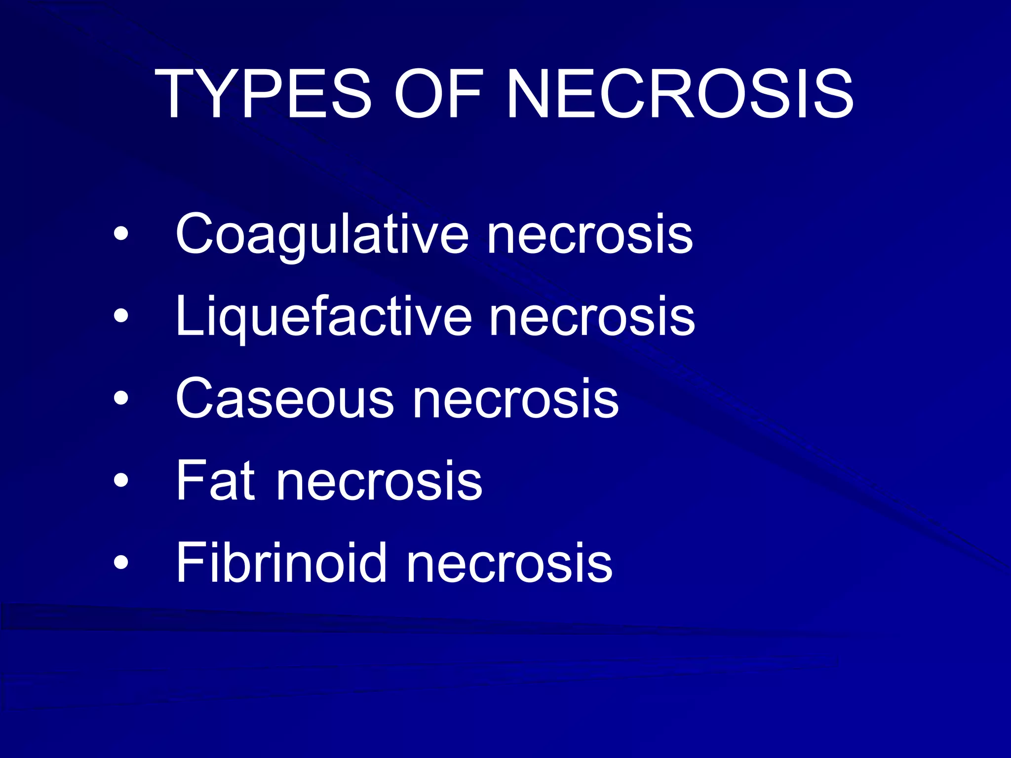 NECROSIS PEDAGOGY.pptx
