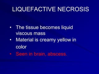 NECROSIS PEDAGOGY.pptx