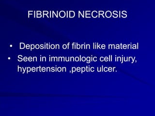 NECROSIS PEDAGOGY.pptx