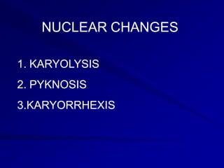 NECROSIS PEDAGOGY.pptx
