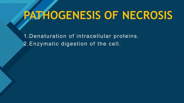 NECROSIS PPT.power point presentations n | PPTX | Blood Disorders ...
