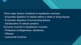 NECROSIS PPT.power point presentations n | PPTX
