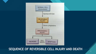 NECROSIS PPT.power point presentations n | PPTX