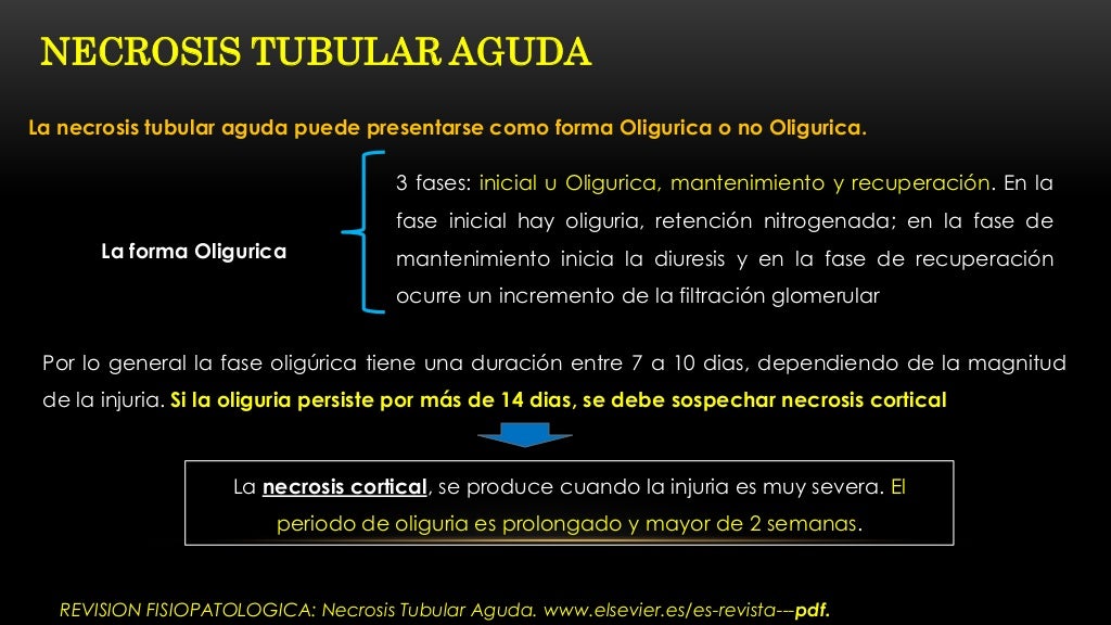 CASO CLINICO: Necrosis tubular aguda