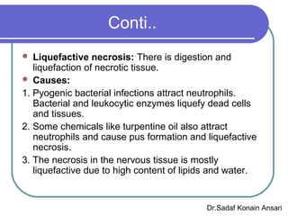Necrosis tutorial | PPT