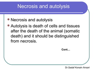 Necrosis tutorial | PPT | Blood Disorders | Diseases and Conditions