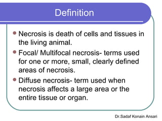 Necrosis tutorial | PPT