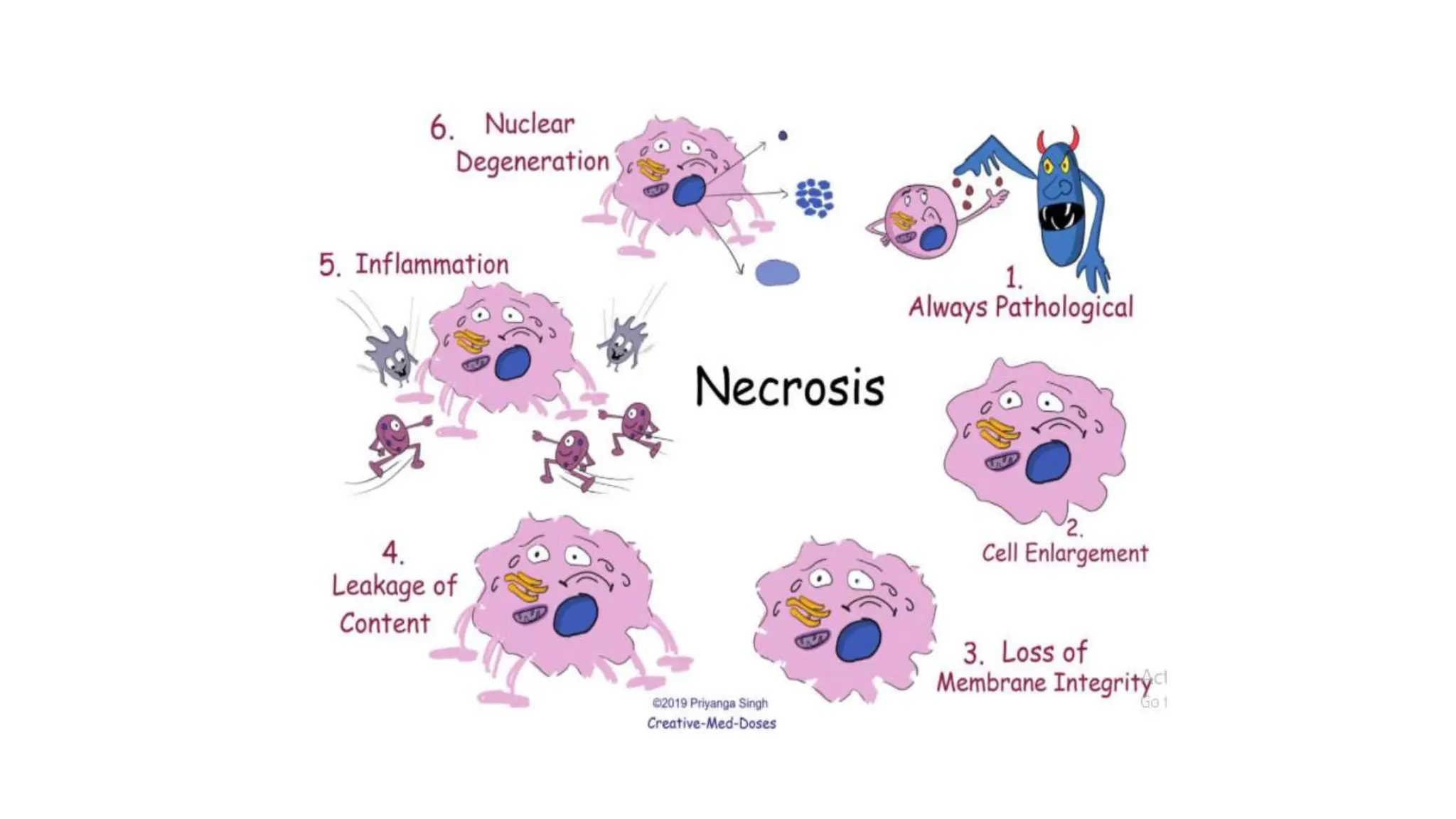 Necrosis updated pathology powerpoint presentation .pptx