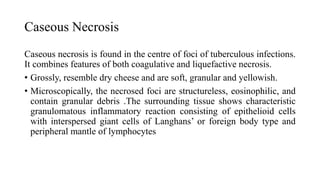 Necrosis updated pathology powerpoint presentation .pptx