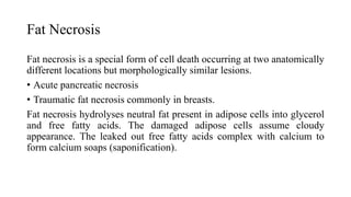 Necrosis updated pathology powerpoint presentation .pptx