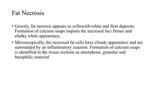 Necrosis updated pathology powerpoint presentation .pptx