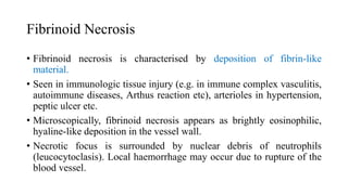 Necrosis updated pathology powerpoint presentation .pptx