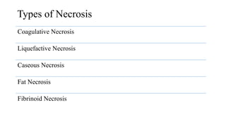 Necrosis updated pathology powerpoint presentation .pptx