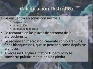 Necrosis y calcificación patológica | PPTX