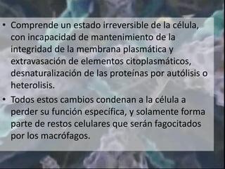 Necrosis y calcificación patológica | PPTX