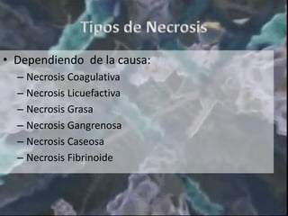 Necrosis y calcificación patológica | PPTX