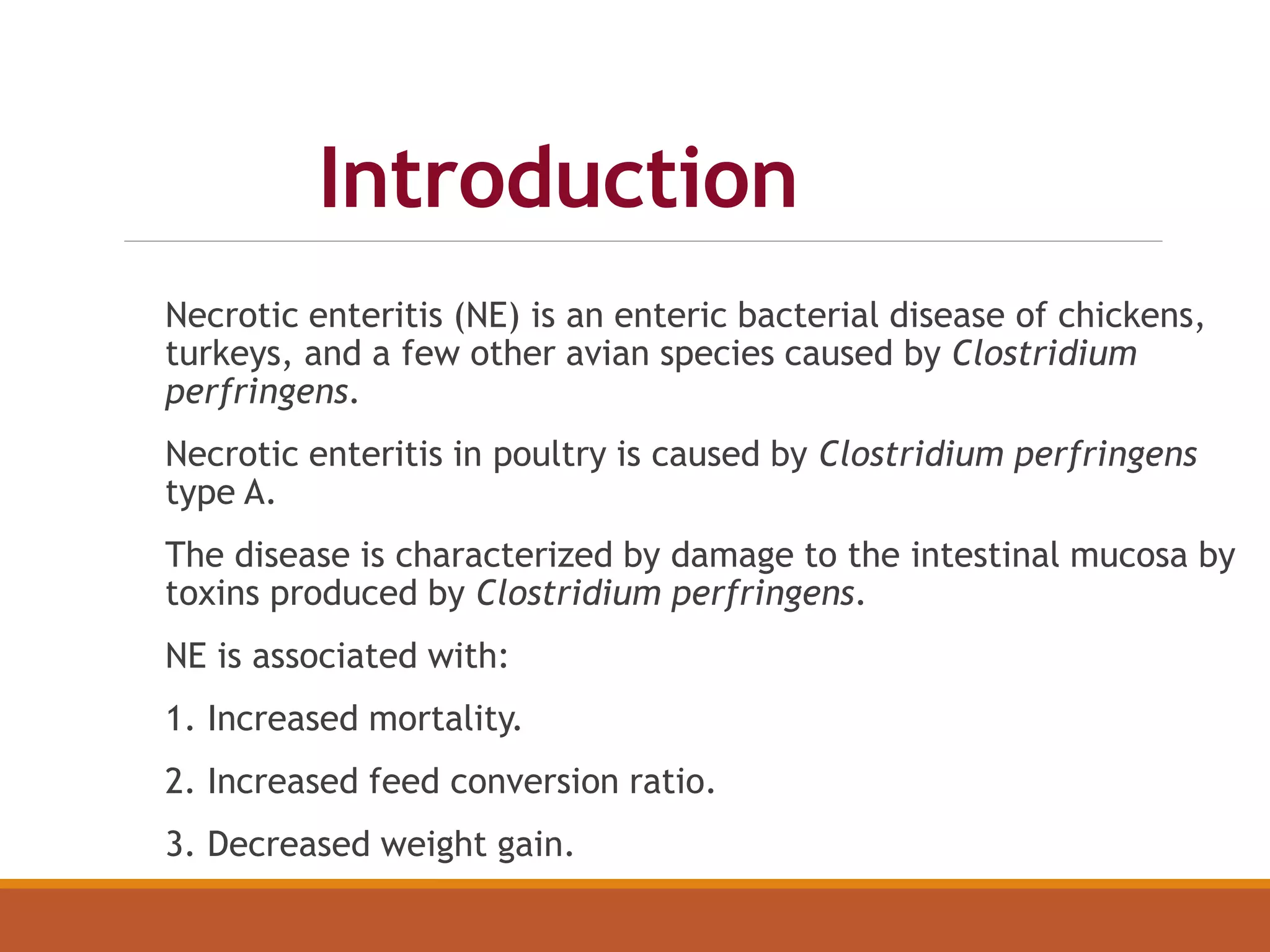 Necrotic enteritis | PPTX