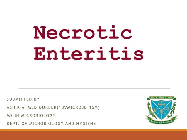 Necrotic enteritis | PPTX | Infectious Diseases | Diseases and Conditions