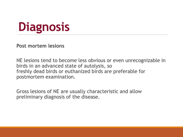 Necrotic enteritis | PPTX | Infectious Diseases | Diseases and Conditions
