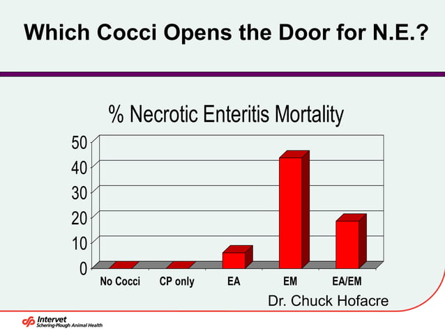 Necrotic Enteritis.pdf