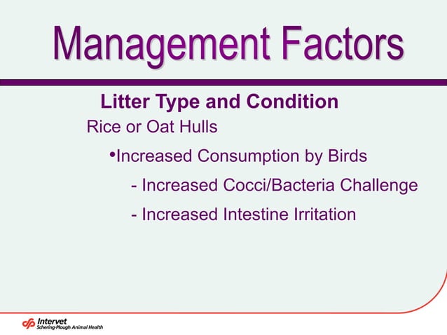 Necrotic Enteritis.pdf