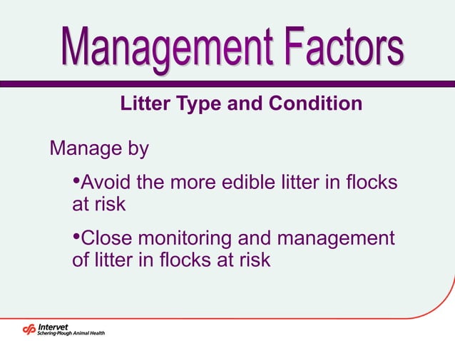 Necrotic Enteritis.pdf