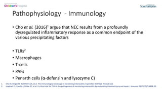 necrotising_enterocolitis__an_overview_-_paeds_teaching.pptx
