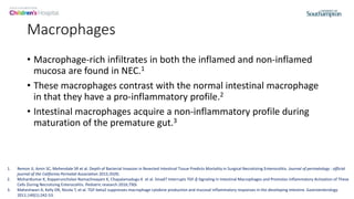 necrotising_enterocolitis__an_overview_-_paeds_teaching.pptx