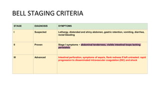 NECROTIZING-ENTEROCOLITIS-1.pptx