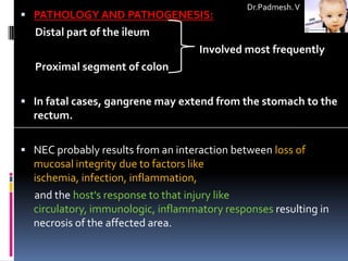 Necrotizing Entero Colitis.. Dr.Padmesh | PPTX