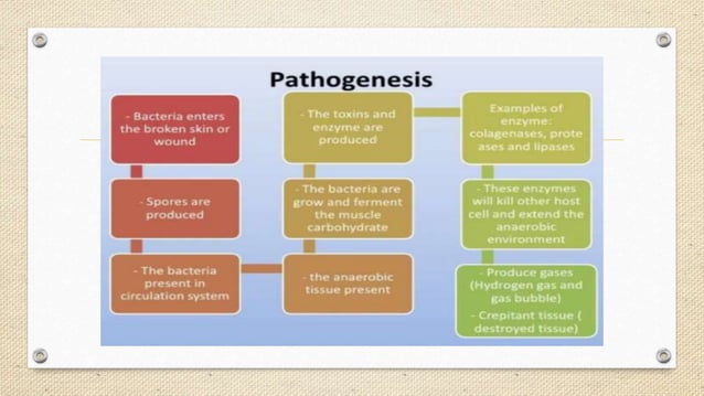 NECROTIZING FASCIITIS, GAS GANGRENE AND SEPTIC ARTHRITIS (1).pptx ...